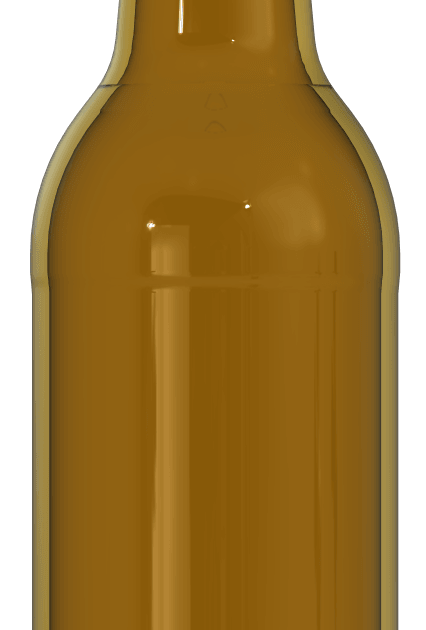 Botellas de cerveza vacías de vidrio Ale 50 cl | Vidrala